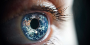 iOCO UK | Digital Transformation powered by Adaptive Capacity